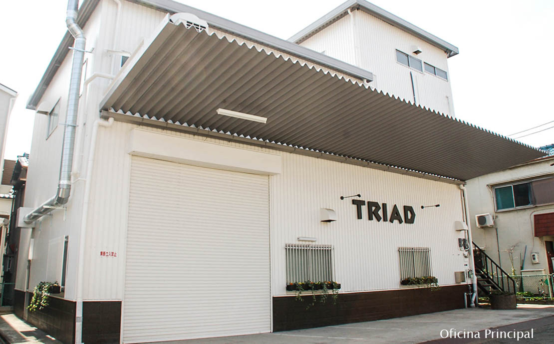 Diseño Perfil de la Compañía – TRIAD Inc.